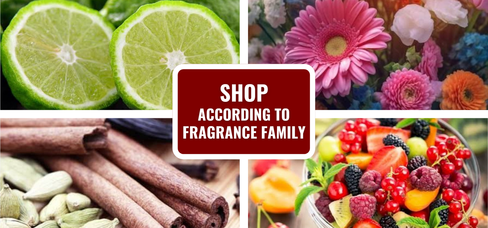 Find Your Fragrance Family 💐 – Tapputi Egyptian Perfume Oils